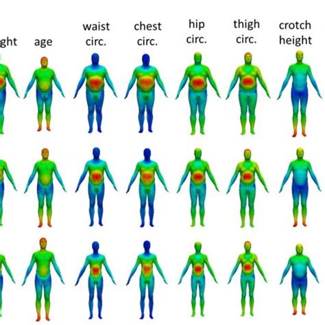 Pdf Evaluation Of 3d Body Shape Predictions Based On Features