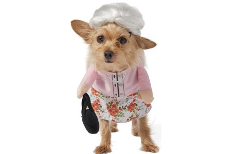 The 24 Best Pet Halloween Costumes For Dogs And Cats In 2023