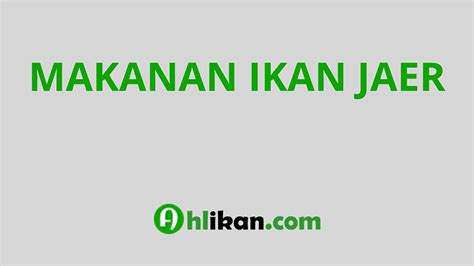 Makanan Ikan Jaer