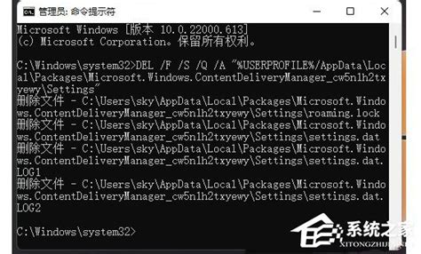 Windows聚焦图片不自动更新怎么办 Win11聚焦壁纸总是不更新的解决方法 系统之家