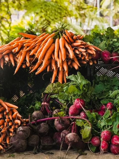 Top 10 Most Nutrient Dense Vegetables
