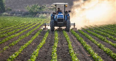 Mastering Svm In Machine Learning A Beginner Friendly Tutorial