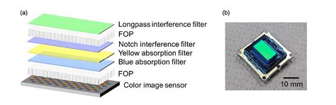 Lensless Dual Color Fluorescence Imaging Device Using Hybrid Filter Szphoton
