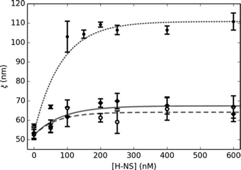 Persistence Length Dependence Upon H Ns Concentration Measured Via Tpm