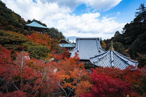 宮島の紅葉は11月が見ごろおすすめスポット5選混雑回避テクを解説 一社 宮島観光協会新着情報