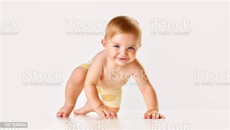 아름답고 귀여운 아기 소녀 하얀 스튜디오 배경에 대해 웃고 놀고 바닥을 기어 다니는 유아 6 11 개월에 대한 스톡 사진 및 기타 이미지 Istock
