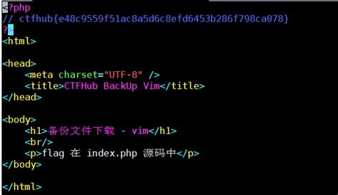 信息泄露 备份文件下载 vim wick xiao的博客 csdn博客