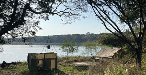 Bespoke Safaris In Ugalla River National Park Tanzania Journeys By