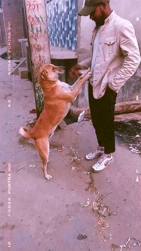 Saurav Saurav Kumar Sauravkumar7478 • Instagram Photos And Videos