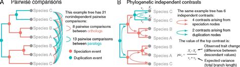 Pairwise Comparisons Across Species Are Problematic When Analyzing Functional Genomic Data Pnas