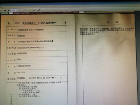 关于青岛市黄岛区琅琊镇台西头村西南海域使用权的招商公告 资产处置 阿里拍卖