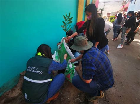 Más sombra aire limpio y naturaleza CONAF Antofagasta invita a