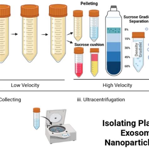 Crispr Cas9 Knockout Of Targeted Oncogenes Figure Shows The Download Scientific Diagram