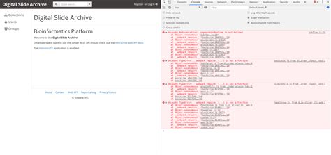 frontend errors after a successful deployment · issue 654 · digitalslidearchive histomicstk