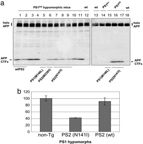 Effects Of Ps Transgenes On App Ctfs A Western Blot Analysis Of App