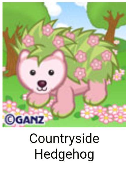 Hedgehog Webkinz