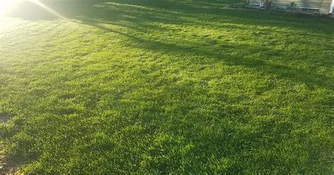 Lawn Album On Imgur