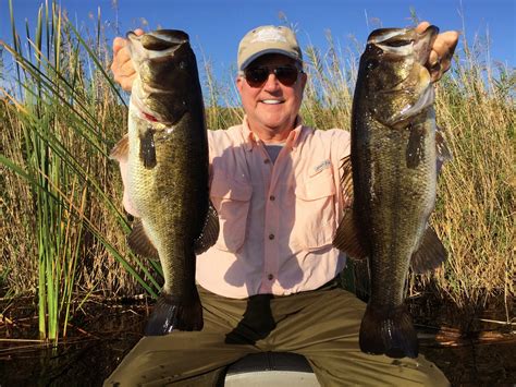 Springtime Bass Fishing Lake Okeechobee Bass Fishing Fishing Guides