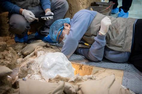 郧县人3号头骨化石提取出土 进入修复和研究环节 遗址 湖北省 直立人
