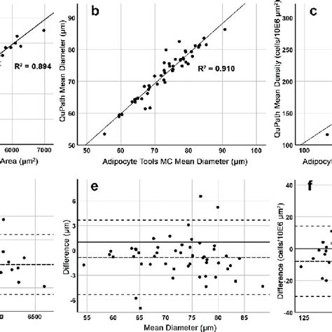 Adipocyte Tools With Manual Correction Mc And Qupath Based Methods