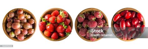 붉은 과일과 열매 흰색 절연 콜라주 딸기 라스베리 Cornels와 구 즈 베리 나무의 집합입니다 달 콤 하 고 달콤한 베리 텍스트 복사 공간 익은 열매 클로즈업입니다 배경