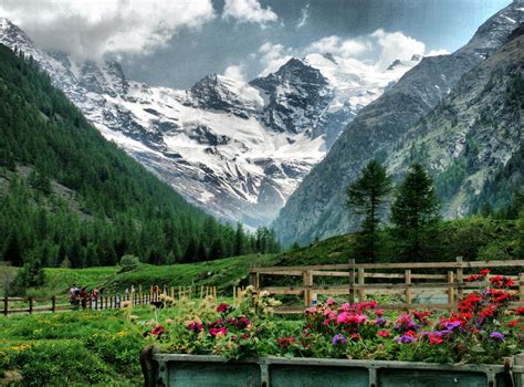전원 1 알프스 산맥 Alps 네이버 블로그