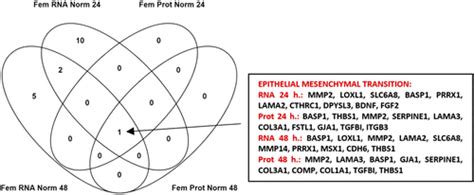 Transcriptomics And Proteomics Revealed Sex Differences In Human