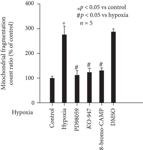 Hypoxia And Propofol Modulated Phosphorylation Of Drp1 And