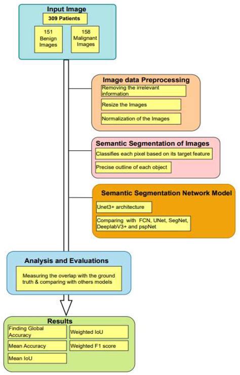 Improving Breast Cancer Detection And Diagnosis Through Semantic Segmentation Using The Unet3