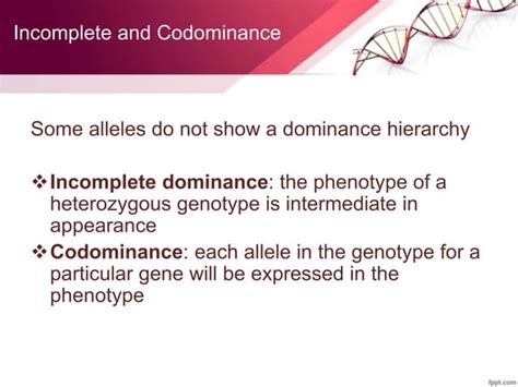 Chromosomal Basis Of Inheritance Pptx Genetics Science