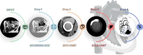 The Proposed Scar Quantification Pipeline Firstly A Bounding Box Is