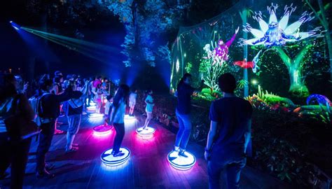 Our Services Pico Play Attraction Design Company Queensland Australia