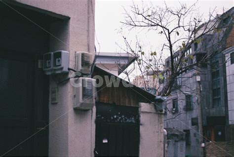 길거리 옛날길거리 나무 감성 무드 사진이미지일러스트캘리그라피 Nkshinbee작가