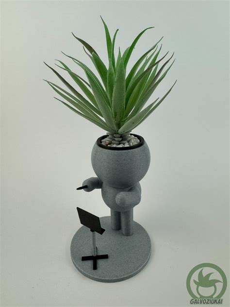 Galvoziukas Dirigentas Galvoziukai