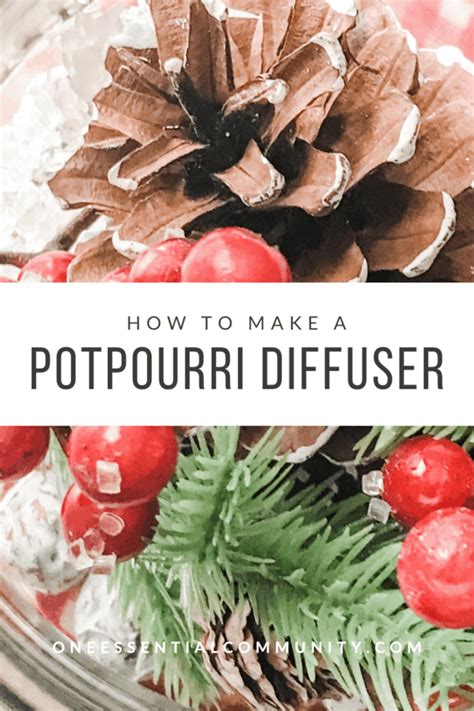 Christmas Potpourri Diffuser One Essential Community