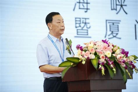 2020海峡西岸汽车博览会暨厦门市首届汽车消费节隆重开幕海西