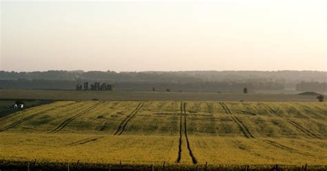 2nd Crop Circle Near Stonehenge Uk 9th May 2010 Psychedelic Adventure