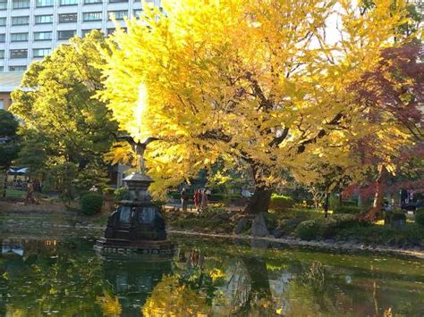 日比谷公園の紅葉レポート見頃時期や見どころも解説東京千代田区東京チカーバ東京と近場の観光 散歩スポットを巡るブログ