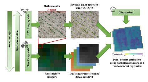 Remote Sensing Free Full Text Machine Learning Techniques To Predict Soybean Plant Density