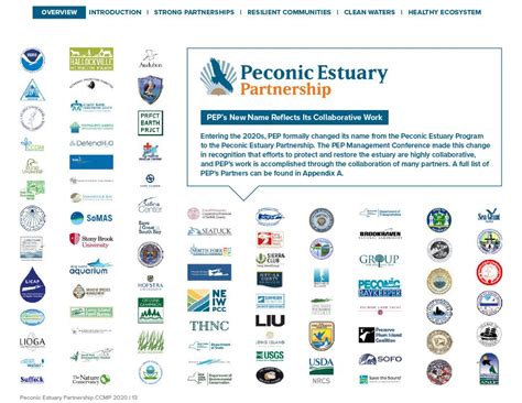 Peconic Estuary Partnership Strategic Planning Waterview Consulting