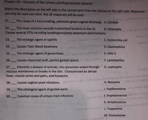 Solved Chapter 24 Diseases Of The Urinary And Reproductive