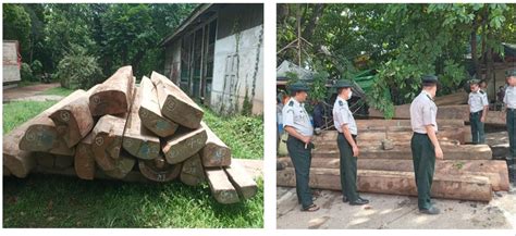 တရားမဝင် သစ်မျိုးစုံ၊ မီးသွေး၊ စားသောက်ကုန်၊ လူသုံးကုန်ပစ္စည်း၊ တိရစ္ဆာန်အစာ၊ လိုင်စင်မဲ့ဆိုင်ကယ