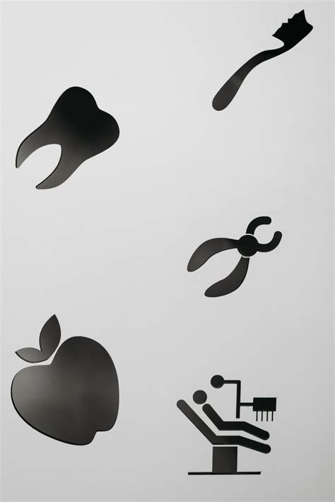 Learn About Your Teeth