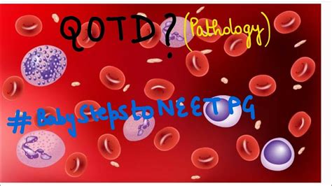 Question Of The Day Day 34 Pathology Neet Pg Youtube