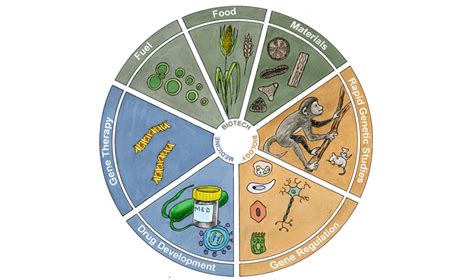 New Crispr Tool Can Cut Rna Too Gene Editing Now Easier