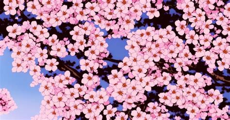 Premium Photo Anime Sakura Blossoms Pink Sakura Flowers On A Tree In Pink Tones