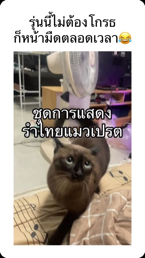 👉🏻ต้องหาไปซื้อรถมาลองอีกละ🤣 👉🏻 งดฝากร้านใต้โพสต์ 👉🏻ขอบคุณที่แบ่งปัน