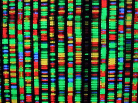 New Secrets Of Human Genome Unearthed After Missing Segments Finally