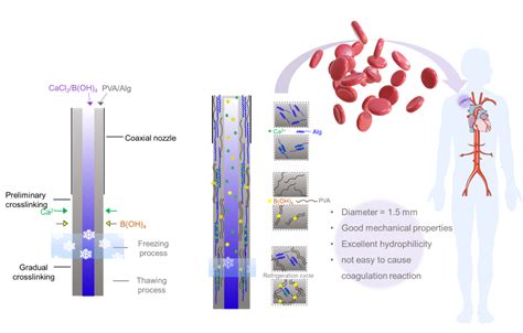 太原理工黄棣教授团队研发抗凝血小直径人工血管，有望制备成器官芯片！