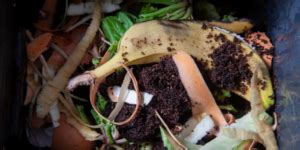 The Science Of Composting A Guide To Different Types Of Composting Methods TrashBackwards